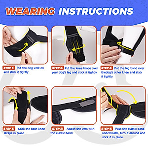 Dog Knee Brace for Torn ACL Hind Legs, Anti-slip Dog Leg Braces for Back Legs with Comfort Vest, Strong Support Dog ACL Hip Brace with 2 Metal Strips and Adjustable Belt for Cruciate Ligament Injury
