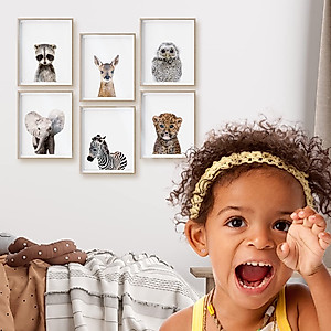 Designs by Maria Inc. Set of 6 UNFRAMED Woodland Nursery Decor Animal Posters | Zoo Theme Baby Room Decorations | Safari Jungle Nursery Wall Art Prints | Baby Animals Prints Nursery Decor Set (8"x10")