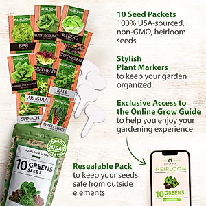5,000+ Heirloom Lettuce Seeds for Planting Indoors - 95% Germination, Non-GMO Greens Seeds, (10 Varieties): Kale, Spinach, Butter, Romaine, Arugula & More - Lettuce Seeds for Hydroponic Home Garden