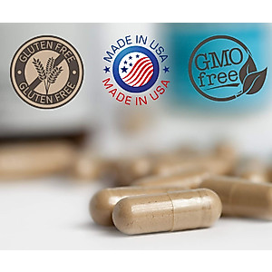 Quinine Cinchona Bark Extract Herbal Supplement for Boosting Immune System, Leg Cramping Relief, Muscle Cramps and Overall Digestive Health - All-Natural 1000 mg Per Capsule - 120 (120 Count)