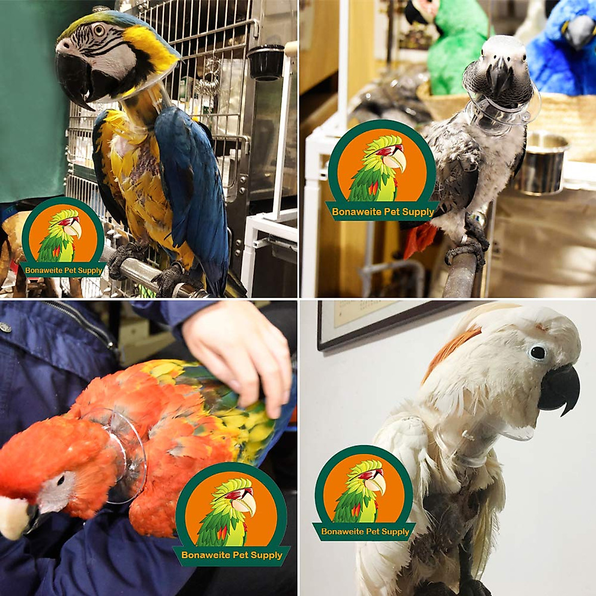 Bonaweite Pet Parrot Anti-bite Collar, Anti-Grab Feather Lick Wound Healing Safety Practical Neck Cover, Protective Recovery Collars for Macaw African Budgies Parakeet Agapornis Fischeri Cockatiel