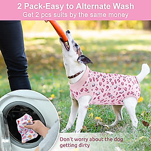 SAWMONG 2 Pack Dog Surgery Recovery Suit, Leopard Recovery Suit for Dogs after Surgery, Dog Spay Surgical Suit for Female Dogs, Dog Onesie Body Suit for Surgery Male Substitute Dog Cone Alternative