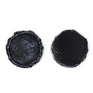 MINYULUA 2 Pack Reptile Water Dish Rock Worm Feeder Bowl Pet Feeding Tray for Tortoise, Gecko, Turtle, Snake, Lizard, Spider, Chameleon