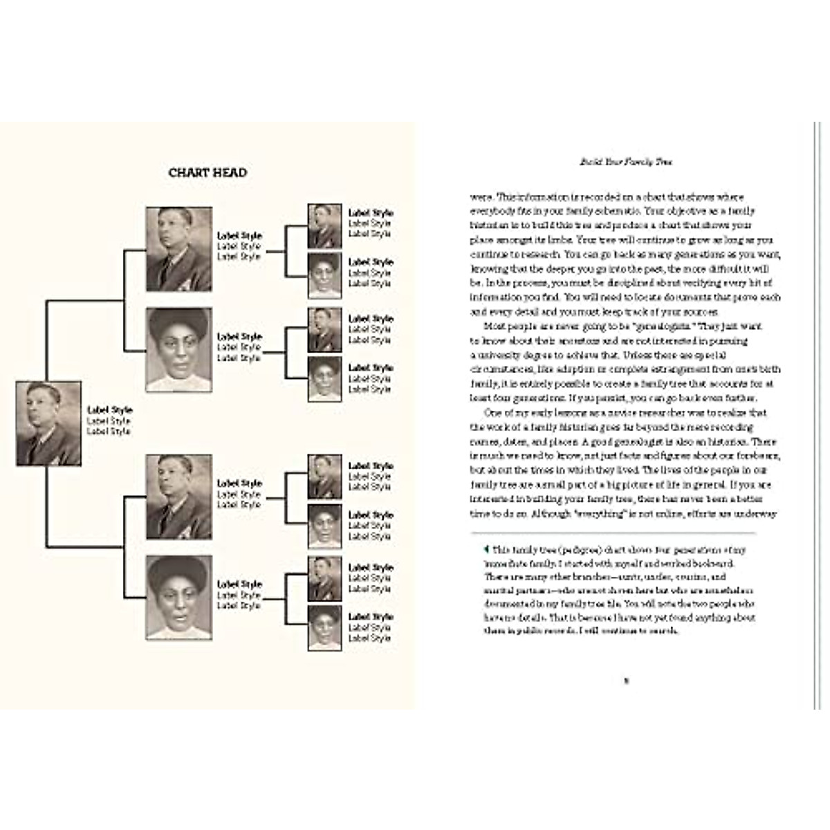 Finding Your Family Tree: A Beginner’s Guide to Researching Your Genealogy
