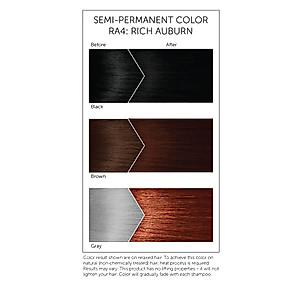 RA4 Rich Auburn Bigen Semi Permanent Hair Color (3 Pack)