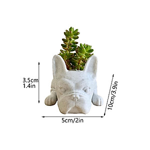 MISNODE Succulent Planter Pots, Cute Dog Flower Pots Air Plant Holder, French Bulldog Shape Resin Succulent Planter Desktop Plant Pot Bonsai for Home Garden Office Tabletop Decor