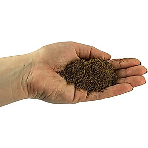 Josh's Frogs Coco Cradle Brick (3 Pack)