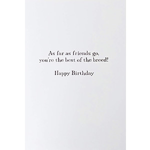 Greeting Card As Far As Friends Go - You're The Best of The Breed! Happy Birthday with Bichon Frise Dog (Friendship)