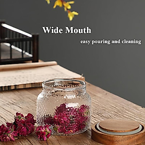 Viovian 300ML(10 OZ) Glass Jar with Bamboo Airtight Lid Glass Coffee Nuts Canister Glass Storage Jar Anti-Slip Kitchen Food Container for Sugar Coffee Bean Candy Cookie Spice Tea