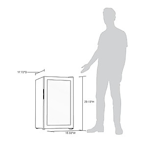 NewAir Small Cooler 2.4 Cu. Ft. Mini Fridge for Bedroom in Stainless Steel, 100 Can Capacity Beverage Refrigerator with 5 Custom Temperature Settings for Beer, Wine, Soda, and Cooler Drinks