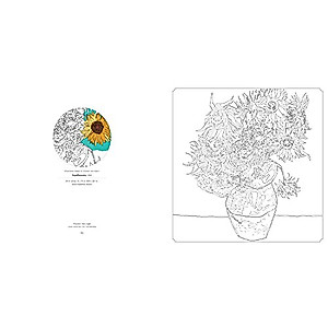 Vincent Van Gogh (Art Colouring Book): Make Your Own Art Masterpiece (Colouring Books)