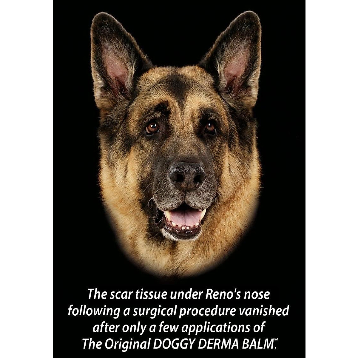 InstaCure Doggy Derma Balm Jumbo-Sized Skin Repair Stick w/Manuka Honey. Soothes & Heals Dog's Dry Cracked Noses, Paws, Bulldog Wrinkles 100% Natural (1-Pack)