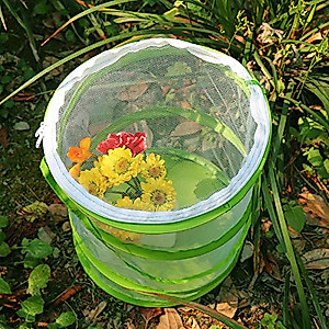 RESTCLOUD Pop-up Insect and Butterfly Habitat Cage Terrarium Clear Mesh Enclosure, See Through Easier 9" x 11" Tall