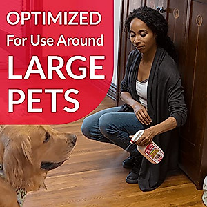 Simple Green Advanced Dog Stain & Odor Remover - Bacteria & Enzyme Cleaner for Large Dogs - Stain Remover for Carpet & Fabric – eliminates Urine Odor (32 oz Sprayer)