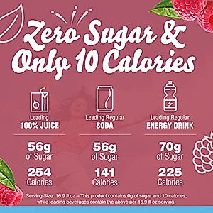 Crystal Light Sugar-Free Raspberry Green Tea On-The-Go Powdered Drink Mix 120 Count-10 Count (Pack of 12)