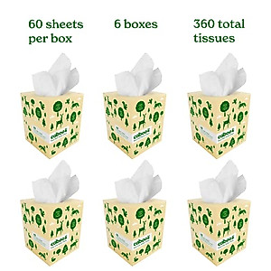 Caboo Tree Free Bamboo Facial Tissue Paper, Eco Friendly Hypoallergenic Tissue Box with 60 Sheets Per Cube, Total of 6 Cubes, 360 Total Tissues