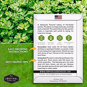 Survival Garden Seeds - Giant of Italy Parsley Seed for Planting - Packet with Instructions to Plant and Grow Italian Flat Leaf Parsley Herbs in Your Home Vegetable Garden - Non-GMO Heirloom Variety