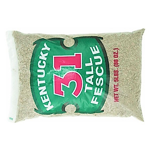 Barenbrug Tall Fescue Grass Seed 5 lb.