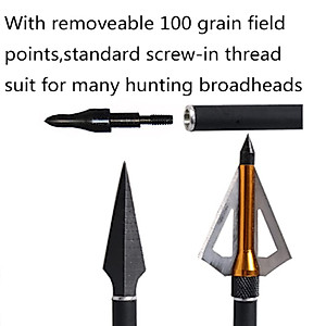 COLORFUL EAGLE Carbon Arrow Hunting Arrows with 100 Grain Tip and Removable Tips for Archery Compound & Recurve & Traditional Bow Practice Shooting Targeting (Pack of 6/12) (6 pcs 30 inch)