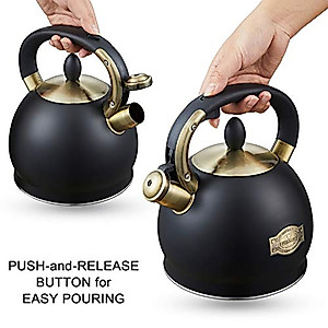 Tea Kettle -2.8 Quart Tea Kettles Stovetop Whistling Teapot Stainless Steel Tea Pots for Stove Top Whistle Tea Pot