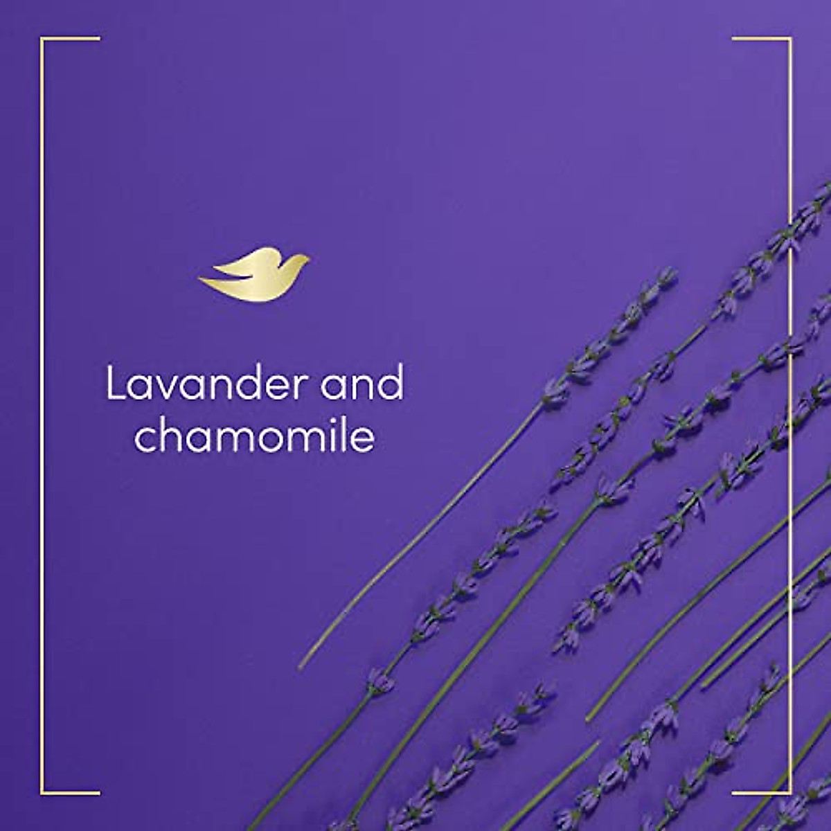 Dove Body Wash for Softer and Smoother Skin After Just One Use Lavender Oil and Chamomile Stress Relieving and Calming 22 oz, 4 Count