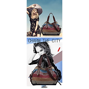 Canvas Shoulder Bags for Womens Multi-Color Purse Casual Messenger Bags Shopping Tote Handbags