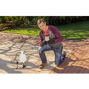 Spectracide Weed and Grass Killer with Extended Control Concentrate, 32 Ounces, with Accumeasure System