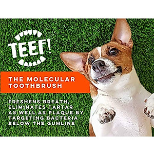 TEEF! Daily Dental Care – Natural Dog Dental Water Additive, 30 Day Supply – Award Winning Formula Fights Plaque and Tartar – No Brushing, Add to Water Bowl – Say Hello to Healthier Gums