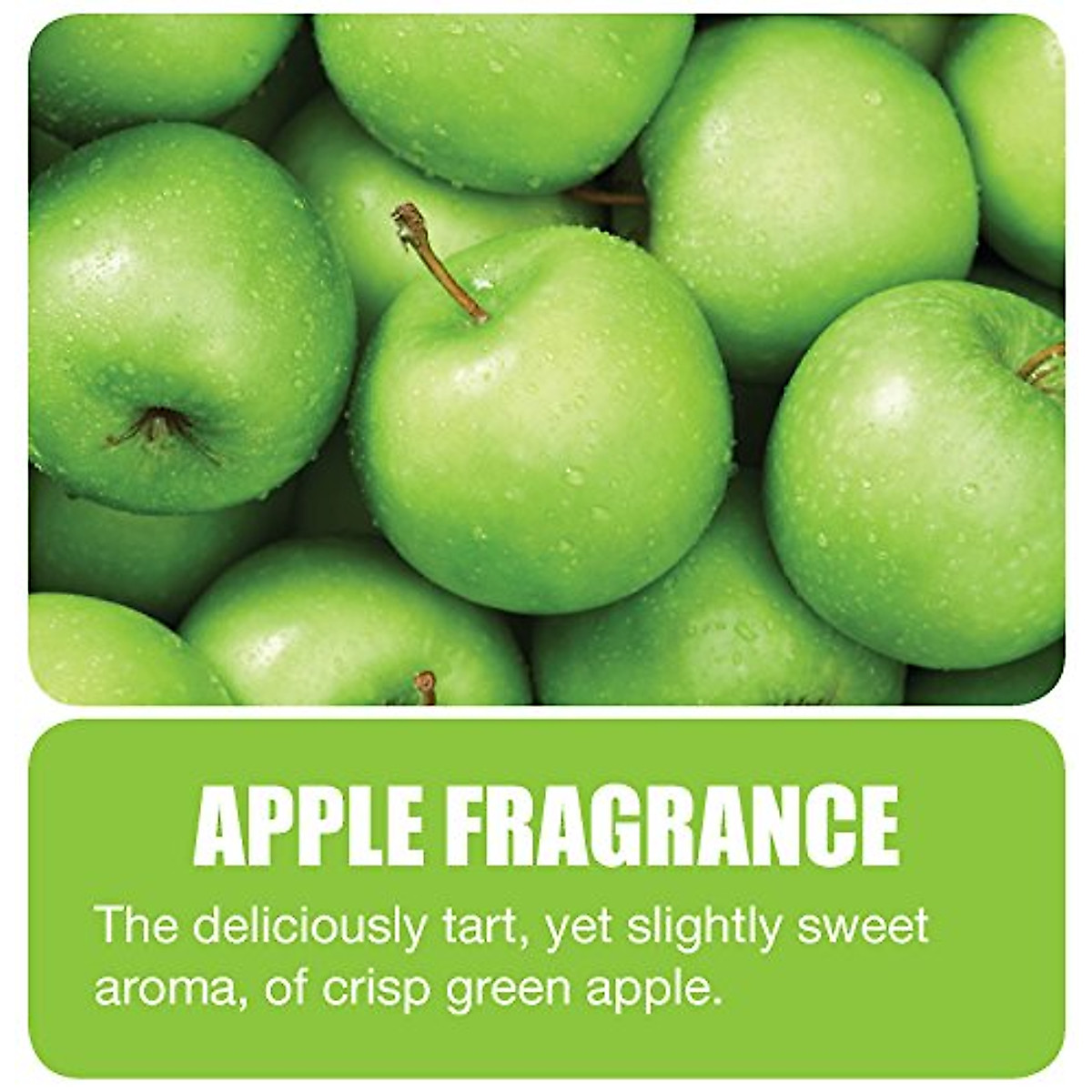 Big D 648 Deodorant Urinal Screen, Apple Fragrance, Blue (Pack of 12) - Lasts up to 45 Days - Ideal for restrooms in Offices, Schools, Restaurants, Hotels, Stores