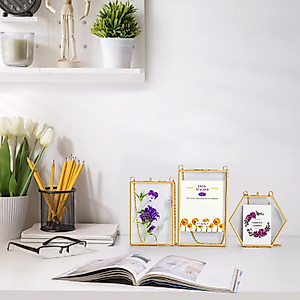 AVLA 3 Pack Pressed Flowers Glass Frames, Brass Hanging Picture Frames with Chain, Small Golden Floating Photo Frame, Clear DIY Artwork Display Frame for Wall Decor, Dried Plant Specimen