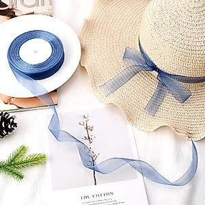 Hiswan 3/4 inch Royal Blue Sheer Organza Ribbon 50 Yards Chiffon Ribbon for Gift Wrapping Wedding Bouquet Crafts