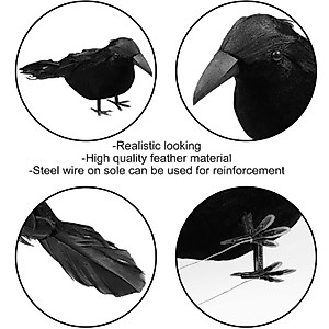 Sizonjoy 6 Pack Halloween Black Feathered Crows, Halloween Decorations Realistic Bird Halloween Ravens Decor Props