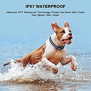 Laptom Pro 2 Pack Smart Dog Bark Collar - 5 Adjustable Sensitivity/Vibration&Sound/Rechargeable/IPX7 Waterproof - No Shock Bark Control Training Collar for Small Medium Large Dog (V1)