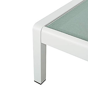 Christopher Knight Home Vanessa Coral Outdoor Chaise Lounges (Set of 2), Green and White