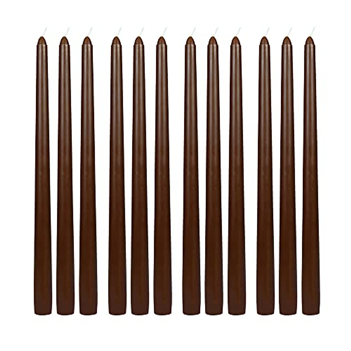 Zest Candle 12-Piece Taper Candles, 12-Inch, Brown