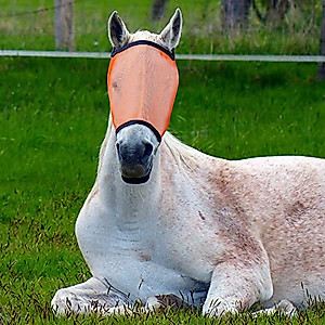 2 Pieces Horse Mask Protective Equine Mask Adjustable Comfort Horse Masks, L, Orange, Pink