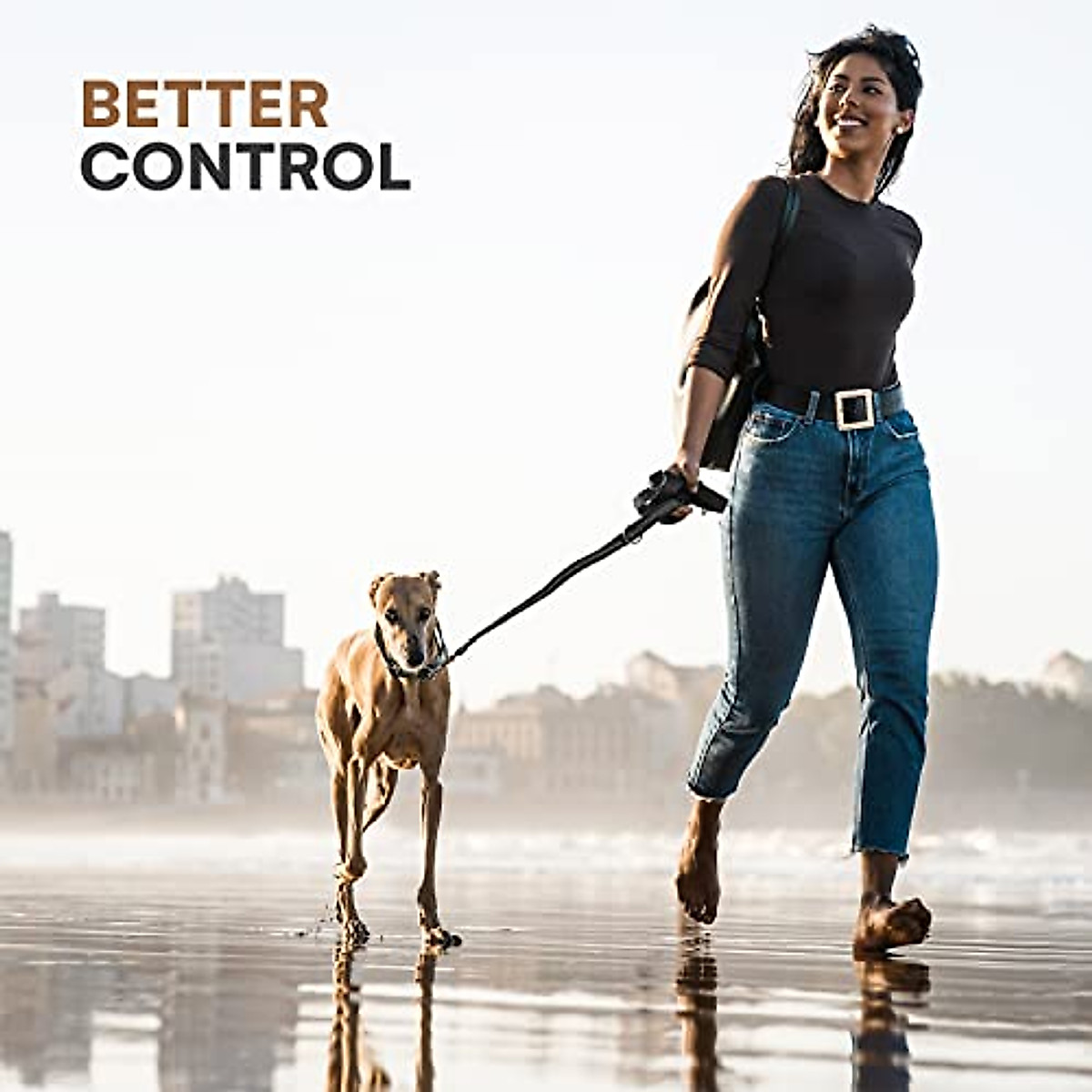 Black Rhino Dog Leash - Heavy Duty - Medium & Large Dogs | 6ft Long Leashes | Two Traffic Padded Comfort Handles for Safety Control Training - Double Handle Reflective Lead - (Black)