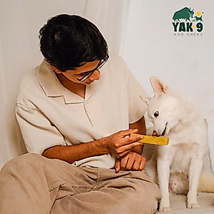 Yak9 Cheese Dog Chews, High Protein Dog Treats, Natural Ingredients, Long Lasting Dog Chews, Dog Treats for Medium Breeds Under 75 Lbs, Rawhide Free, Non GMO, Gluten Free, Grain Free, Coconut, 1 pc
