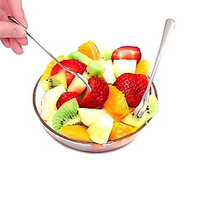 20 Pack Appetizer Dessert Forks, Stainless Steel Mini Salad Fruit Tasting Forks Cocktail Fork (Appetizer)