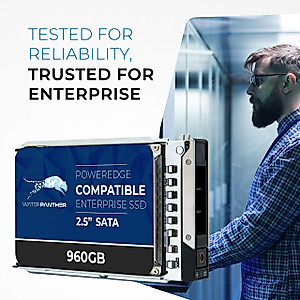 960GB SATA 6Gb/s 2.5" SSD for Dell PowerEdge Servers | Enterprise Drive in 14G Tray