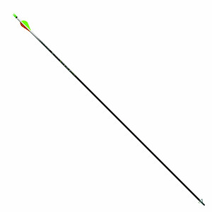 Easton 819388 Pack of 6 Axis Arrow with 2-Inch Vane, Black