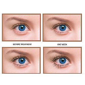 NatureCall Coconut Oil for Eyelash and Eyebrow Growth (pack of 1, 10ml bottle)