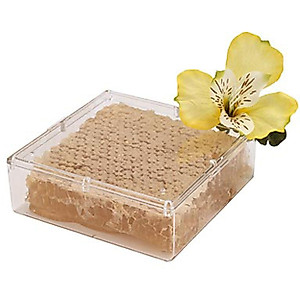 Pioneer Plastics 156C Clear Square Plastic Container, 4.3125" W x 4.3125" D x 1.375" H, Pack of 12