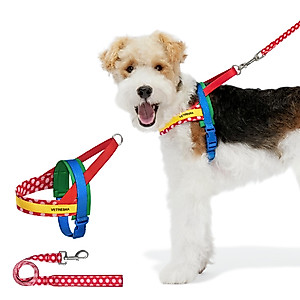 VETRESKA Dog Harness and Leash Set, No-Pull Puppy Harness for Walking and Training, Easy Walk Dog Harness for Small Medium Dogs, Adjustable, Take Control & Anti-Twist Pet Lead Combo (MoMA Red, S)