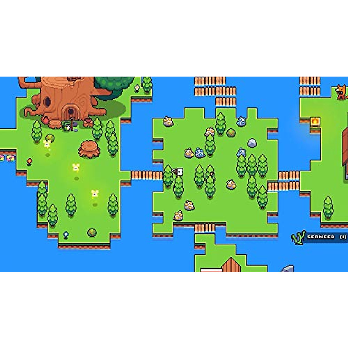 Forager (Nintendo Switch)