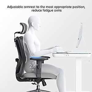 SIHOO M18 Ergonomic Office Chair for Big and Tall People Adjustable Headrest with 2D Armrest Lumbar Support and PU Wheels Swivel Tilt Function Grey