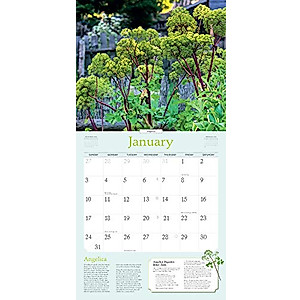 Rosemary Gladstar's Herbs Wall Calendar 2021