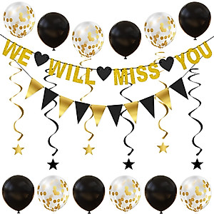 We Will Miss You Decorations Gold Glitter We Will Miss You Banner, Triangle Flag Garland, Star Hanging Swirls and Balloons for Office Leaving, Farewell, Goodbye, Going Away Party Decorations
