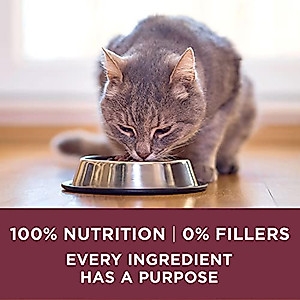 Purina ONE High Protein Dry Cat Food, +Plus Urinary Tract Health Formula - 3.5 lb. Bag