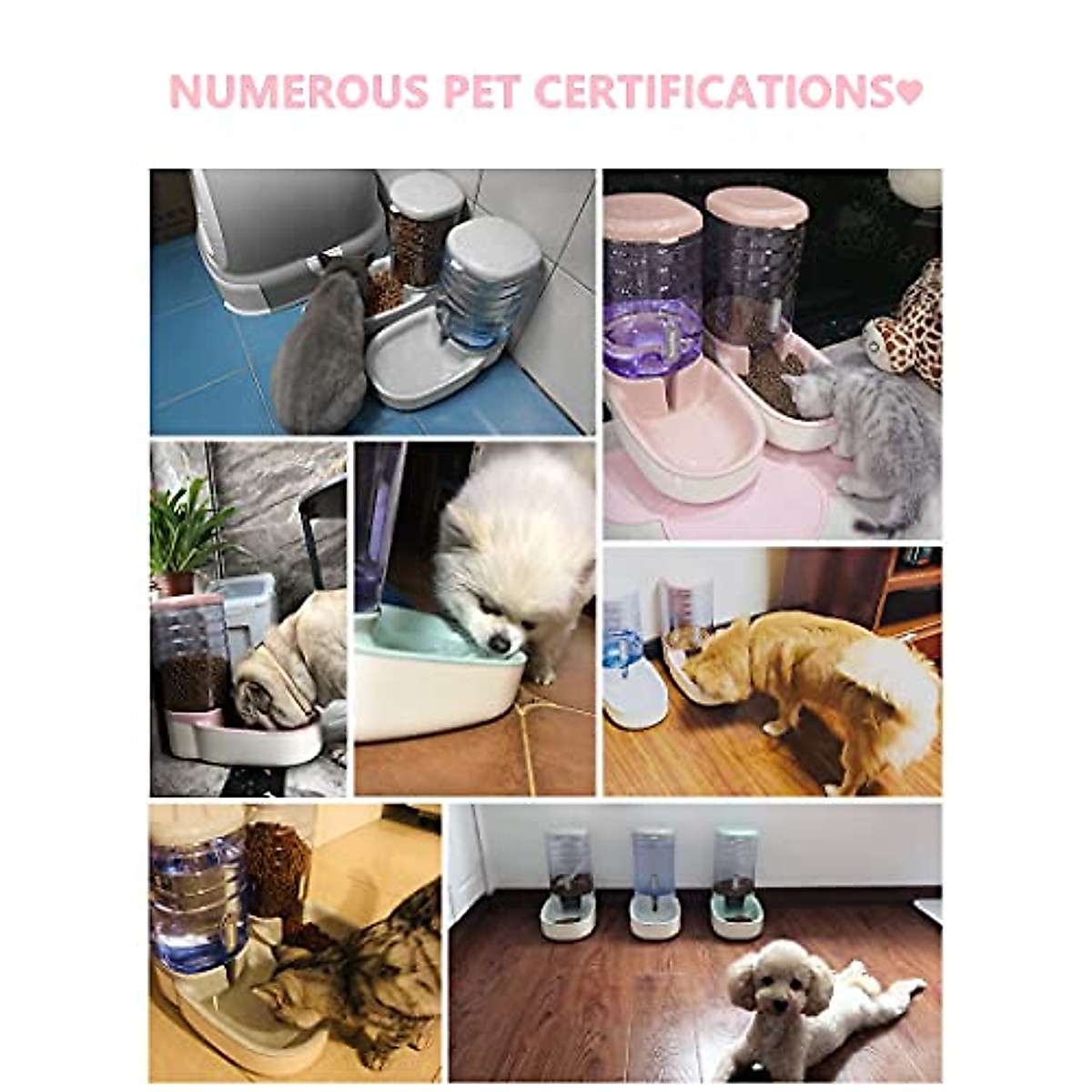 MGMNGY Pet Supplies Cat/Dog High Capacity Feeder and Water Dispenser Set, Natural Gravity Without Electricity, Water Storage Capacity 3.8L, Grain Storage Capacity 2.1kg, Blue